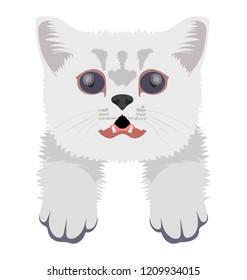 Cute White Cartoon Cat Blushing Face: เวกเตอร์สต็อก (ปลอดค่าลิขสิทธิ์ ...