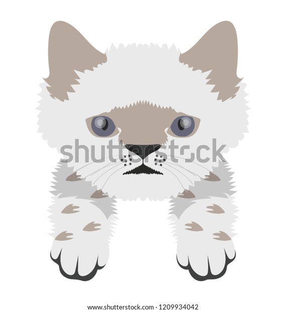 Cute White Cartoon Cat Blushing Face Stock Vector (Royalty Free ...