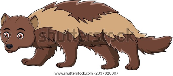 Cute Wolverine Animal Cartoon Vector Illustration: เวกเตอร์สต็อก (ปลอด ...