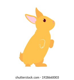 Cute Yellow Rabbit Over White Background Stock Vector (Royalty Free ...