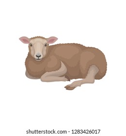 203 Sheep Lying On Side Images, Stock Photos & Vectors | Shutterstock