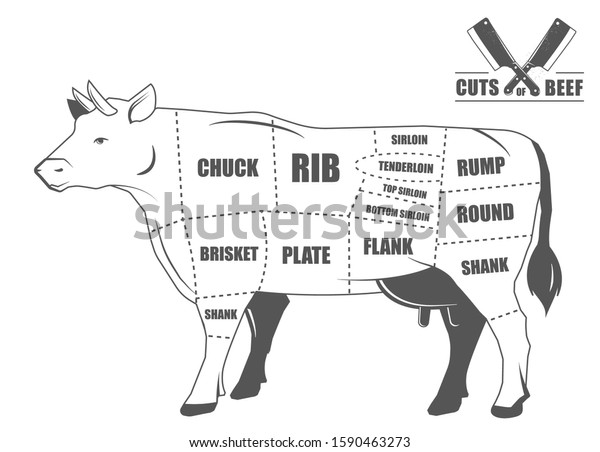 Cuts of beef. Poster Butcher diagram - Cow. Vintage typographic hand ...