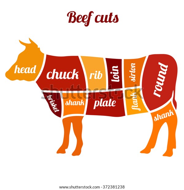 Cuts Beef Vector Illustration Stock Vector Royalty Free 372381238