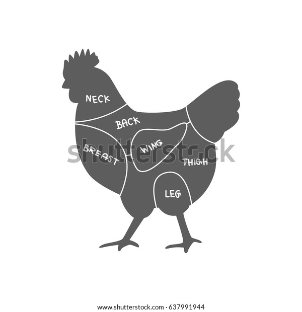 Cuts Chicken Vector Illustration Stock Vector (Royalty Free) 637991944