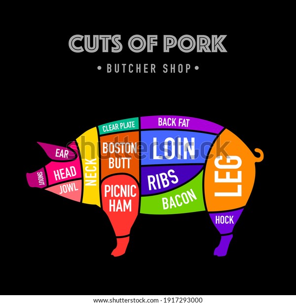 Cuts Pork Meat Diagram Scheme Poster Stock Vector (Royalty Free ...