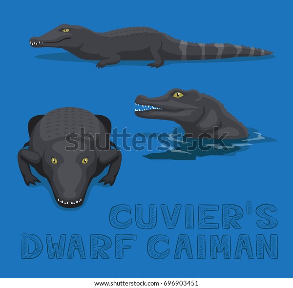Cuviers Dwarf Caiman Cartoon Vector Illustration: เวกเตอร์สต็อก (ปลอด ...