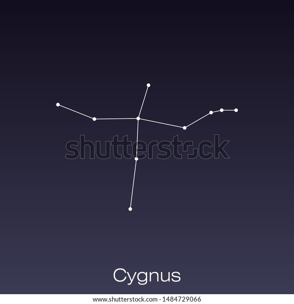 Cygnus Constellation Can Be Seen By Stock Vector (Royalty Free ...