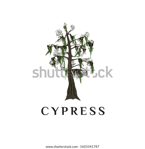 3,184 Drawing Cypress Trees Images, Stock Photos & Vectors | Shutterstock