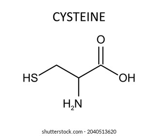 603 Cysteine structure Images, Stock Photos & Vectors | Shutterstock