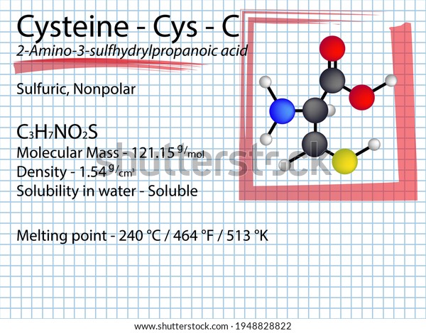 Cysteine Cys C Amino Acid Molecular Stock Vector (Royalty Free ...