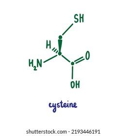 603 Cysteine structure Images, Stock Photos & Vectors | Shutterstock