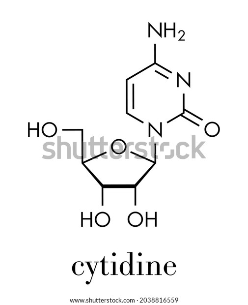 Cytidine Rna Building Block Molecule Skeletal Stock Vector Royalty