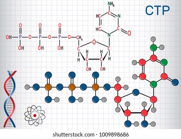 Cytidine Triphosphate Ctp Molecule Pyrimidine Nucleoside Stock Vector ...