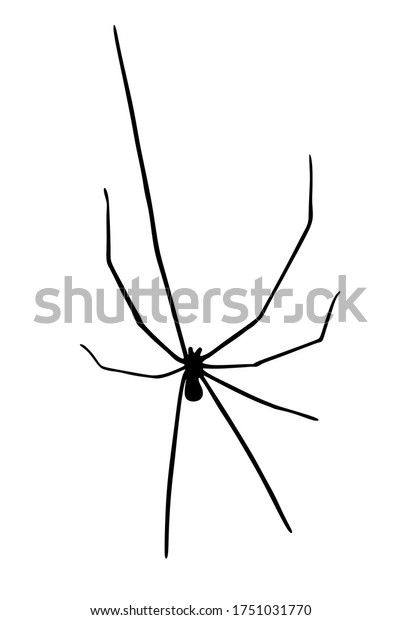 Daddy Long Legs Spider Vector Silhouette Stock Vector (Royalty Free ...
