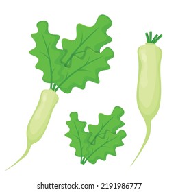 Daikon Set Isolated On White Background Stock Vector (Royalty Free ...