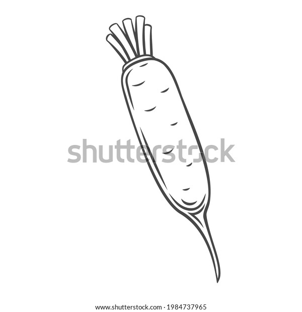 Daikon Vegetable Outline Vector Icon Drawing Stock Vector (Royalty Free ...