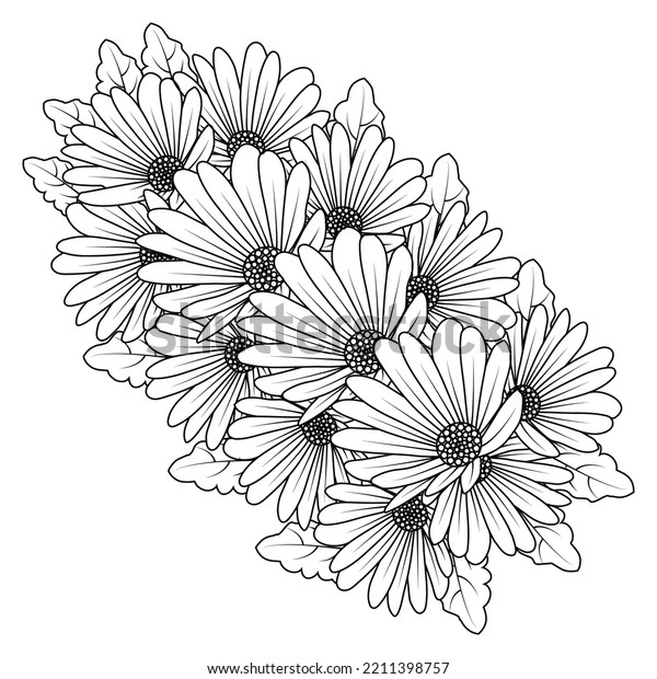 Daisy Flower Daisies Outline Vector Design Stock Vector (Royalty Free ...