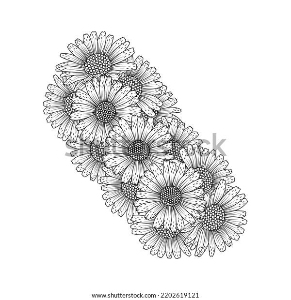 Daisy Flower Drawing Coloring Page Doodle Stock Vector (Royalty Free ...