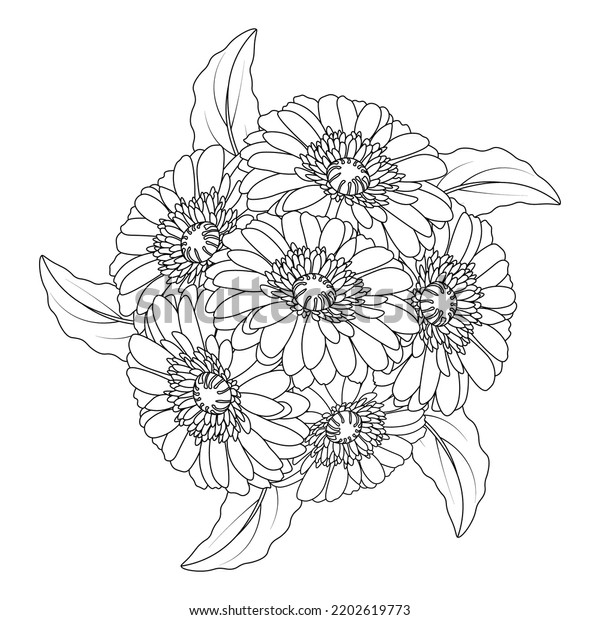 Daisy Flower Drawing Coloring Page Doodle Stock Vector (Royalty Free ...