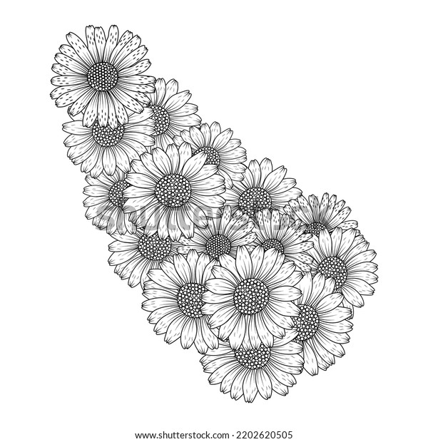 Daisy Flower Drawing Coloring Page Doodle Stock Vector (Royalty Free ...