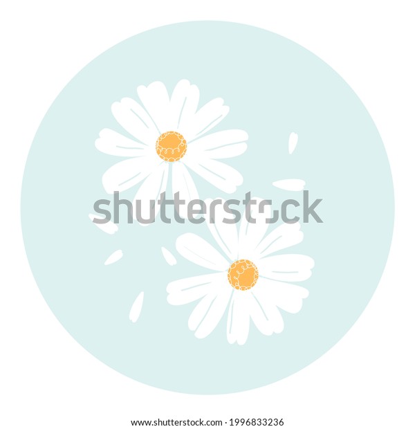 Daisy Flower Icons Circle Sign Vector Stock Vector (Royalty Free ...