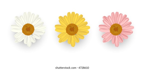 Daisy Illustration Stock Vector (Royalty Free) 4728610 | Shutterstock