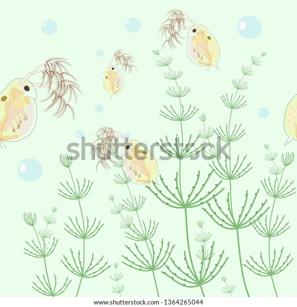 Daphnia Magna Vector Water Algae Stock Vector (Royalty Free) 1364265044 ...