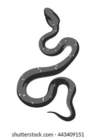 149 Pit viper Stock Vectors, Images & Vector Art | Shutterstock
