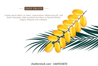 13,561 Dates fruit Stock Vectors, Images & Vector Art | Shutterstock