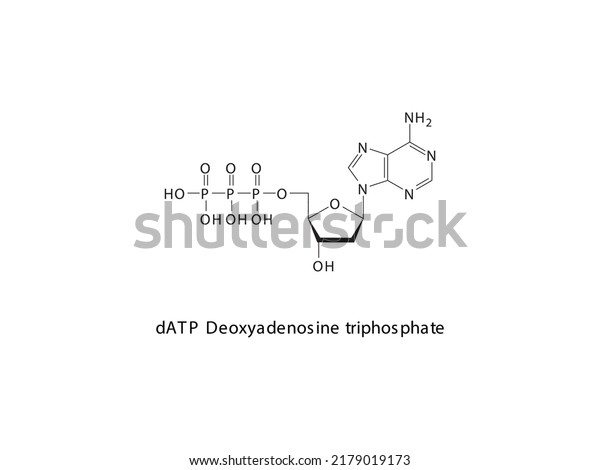 dATP Deoxiadenosina trifosfato Nucleósido estructura molecular: vector de stock (libre de ...