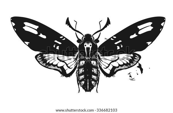 Deaths head hawk moth hand drawn ink silhouette. Design tattoo art ...