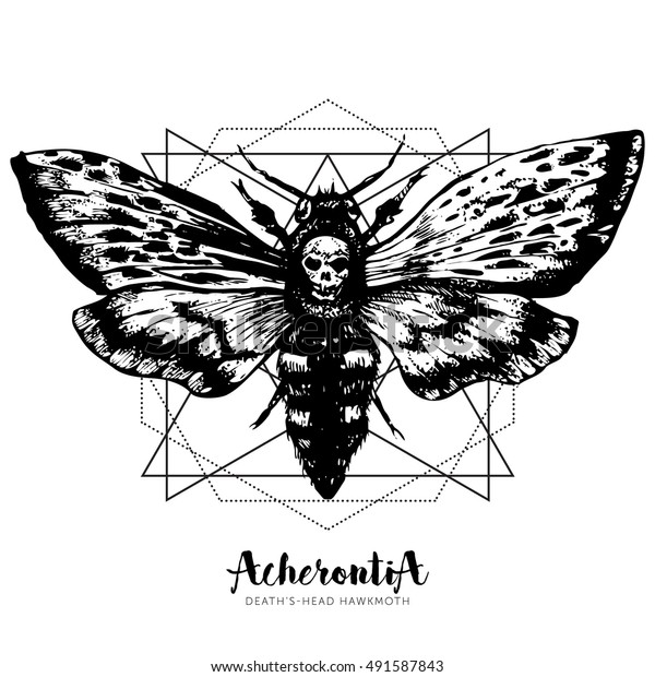 Deathshead Hawk Moth Sacred Geometry Lines Stock Vector (Royalty Free ...