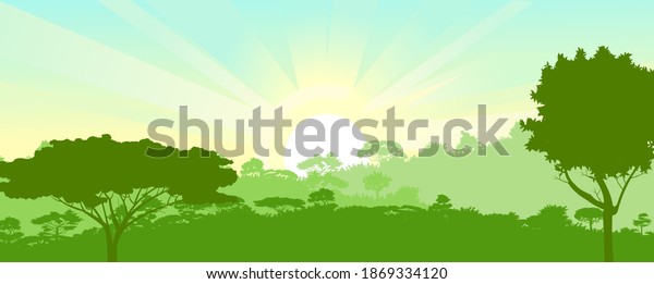 Deciduous Forest Silhouette Mature Spreading Trees Stock Vector ...