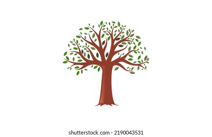 4,647 Exposed Roots Tree Images, Stock Photos & Vectors | Shutterstock