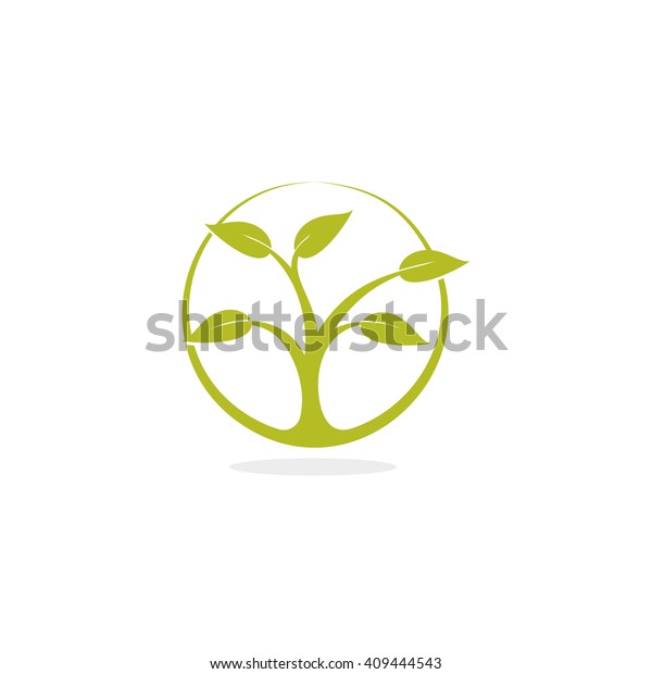 Deciduous Tree Vector Illustration Amenity Forest Stock Vector (Royalty ...