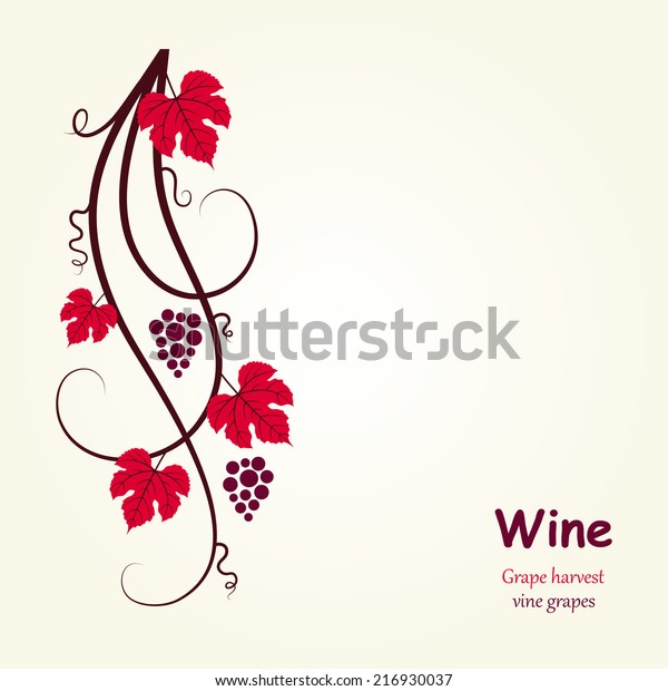 Décoration de vigne.Illustration vectorielle. : image vectorielle de ...