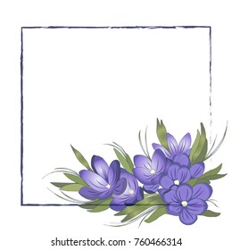 Modern Crocus Frame Vector Illustration Stock Vector (Royalty Free ...