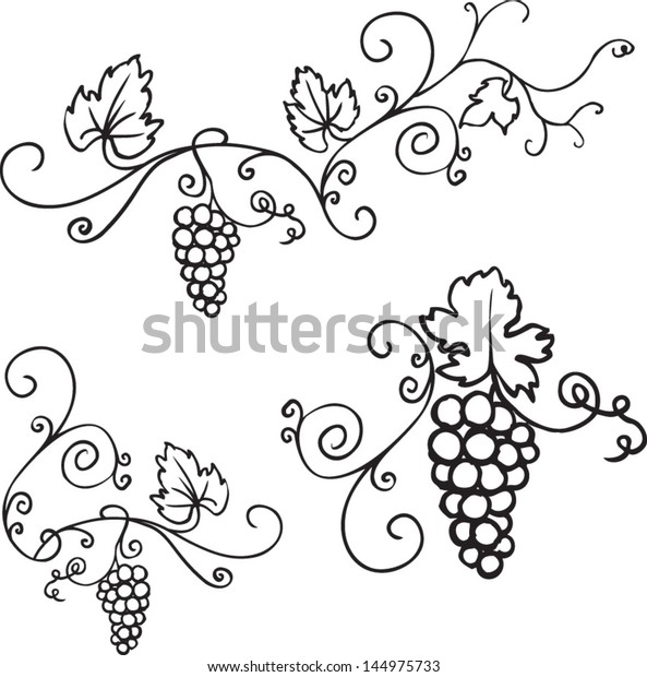 Decorative Grapes Vine Vector Ornament Stock Vector (Royalty Free ...