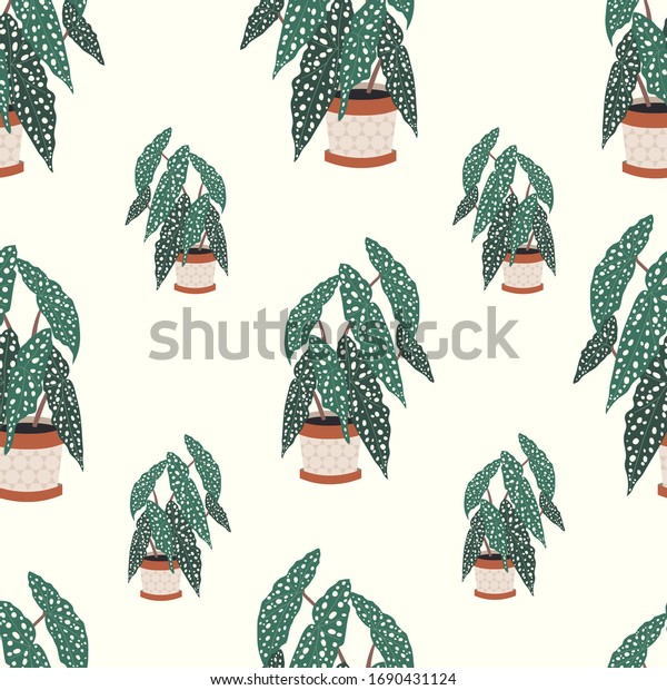 Decorative House Plants Seamless Pattern Indoor Stock Vector (Royalty ...