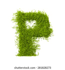 Decorative Nature Vector Letter P Stock Vector (Royalty Free) 281828273 ...