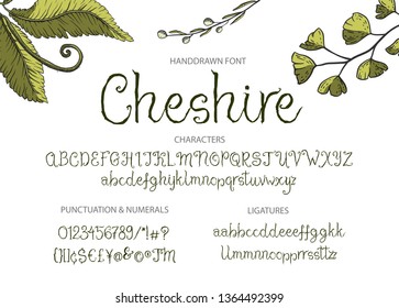 Decorative Script Font Alphabet Calligraphy Signs Stock Vector (Royalty ...