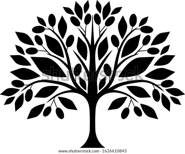 23,941 imágenes de Symmetrical tree - Imágenes, fotos y vectores de ...
