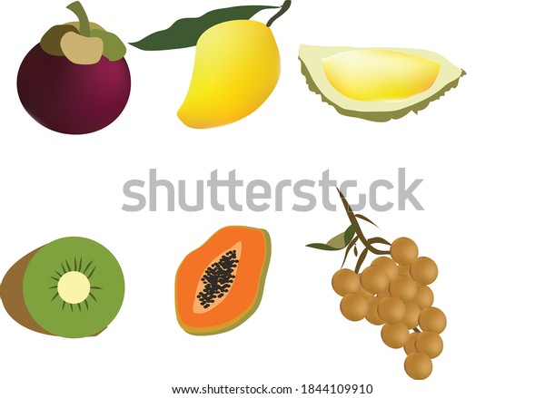 Decorative Tree Vecter Drawing Adobe Illustrater Stock Vector (Royalty ...