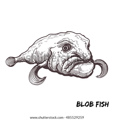 Blob Fish Coloring Pages Sketch Coloring Page