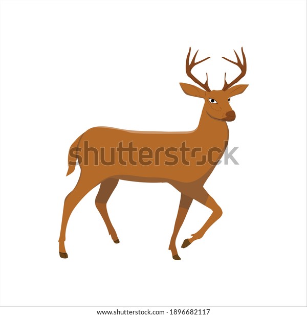 Deer Animal Vector Illustration Stock Vector (Royalty Free) 1896682117 ...