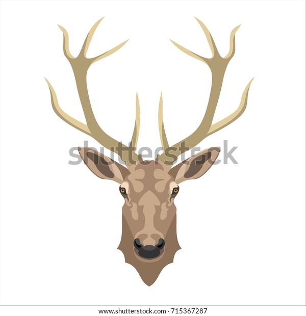 Deer Head Isolated On White Background Stock Vector (Royalty Free ...