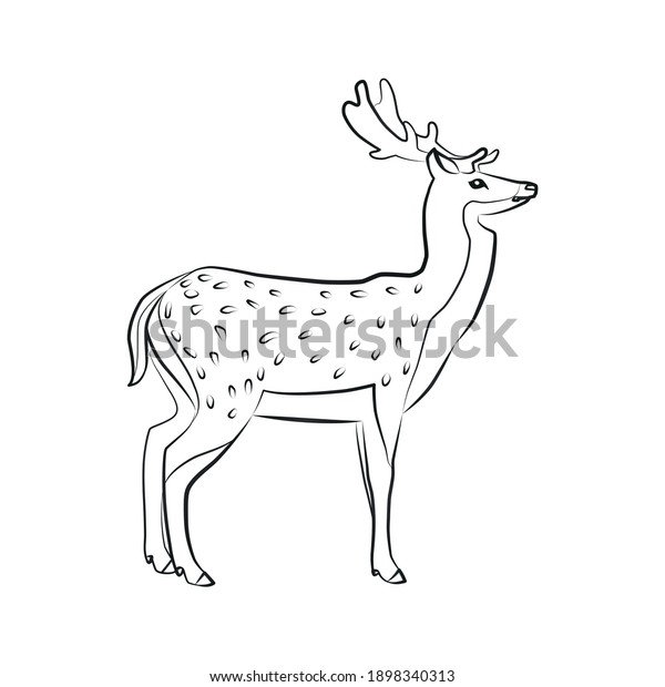 Deer Outlined Silhouette Deer Isolated On Stock Vector (Royalty Free ...