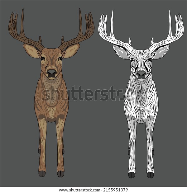 Deer Vector Art Realistic Color Drawing Stock Vector (Royalty Free ...