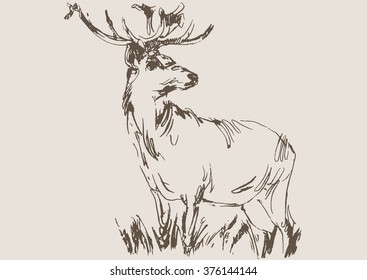 Deer Vector Hand Draw Sketch Stock Vector (Royalty Free) 376144144 ...