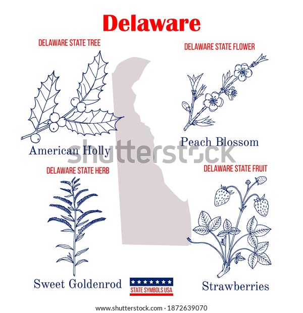 Delaware Set Usa Official State Symbols Stock Vector (Royalty Free ...